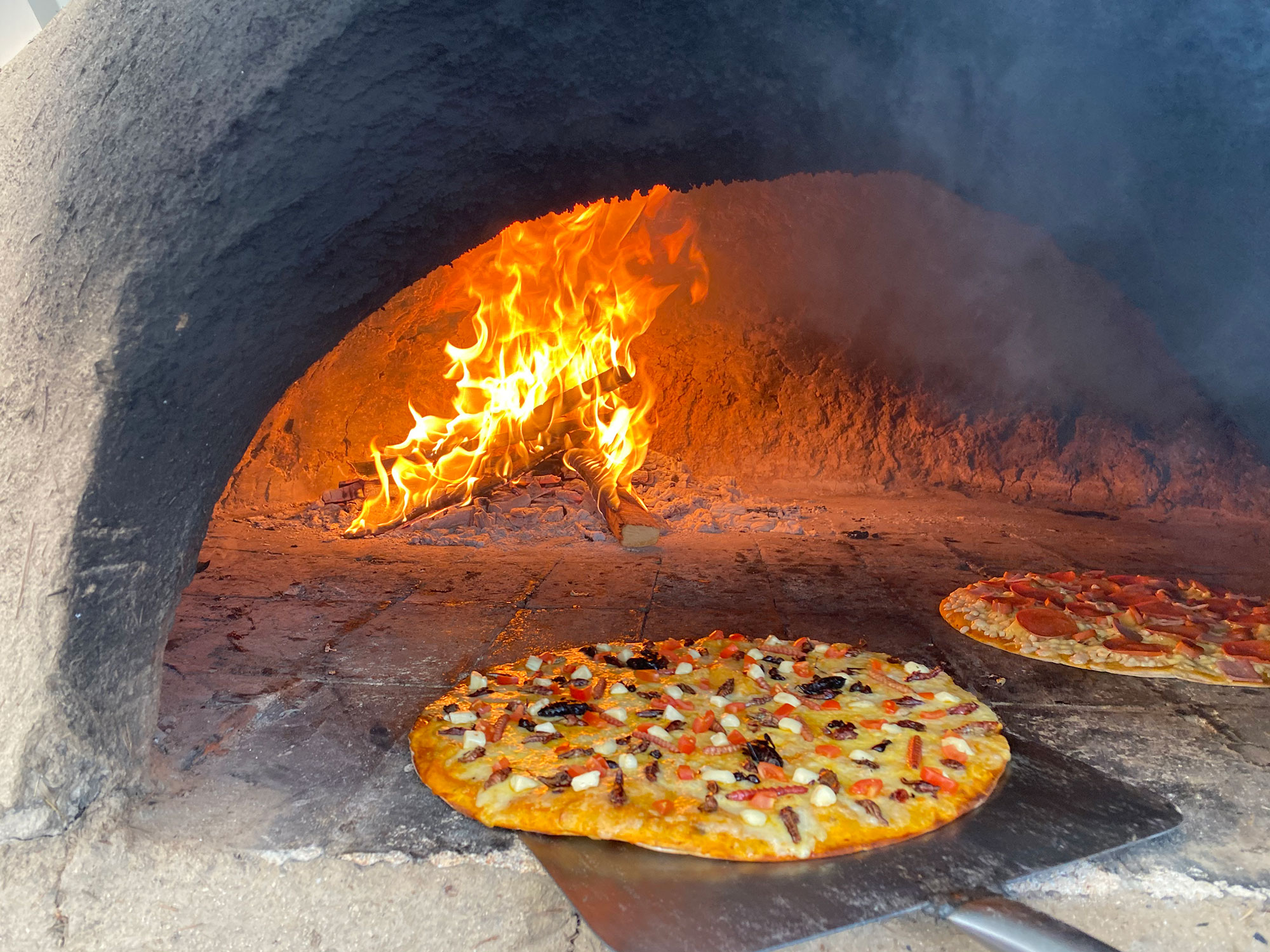 Decir que comiste pizza de insectos - AmoMéxico: Un país en 100 ...